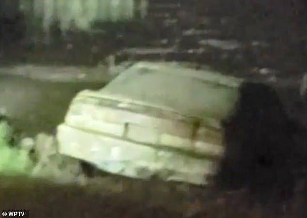 En Google Earth ve algo extraño, da aviso y hallan cadáver de ...