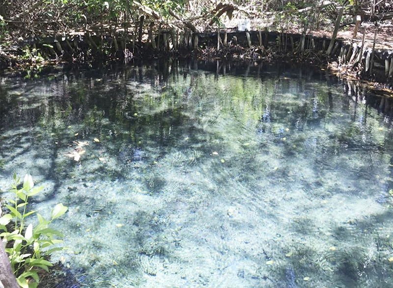 Sube a $45 la entrada al Corchito, para los yucatecos