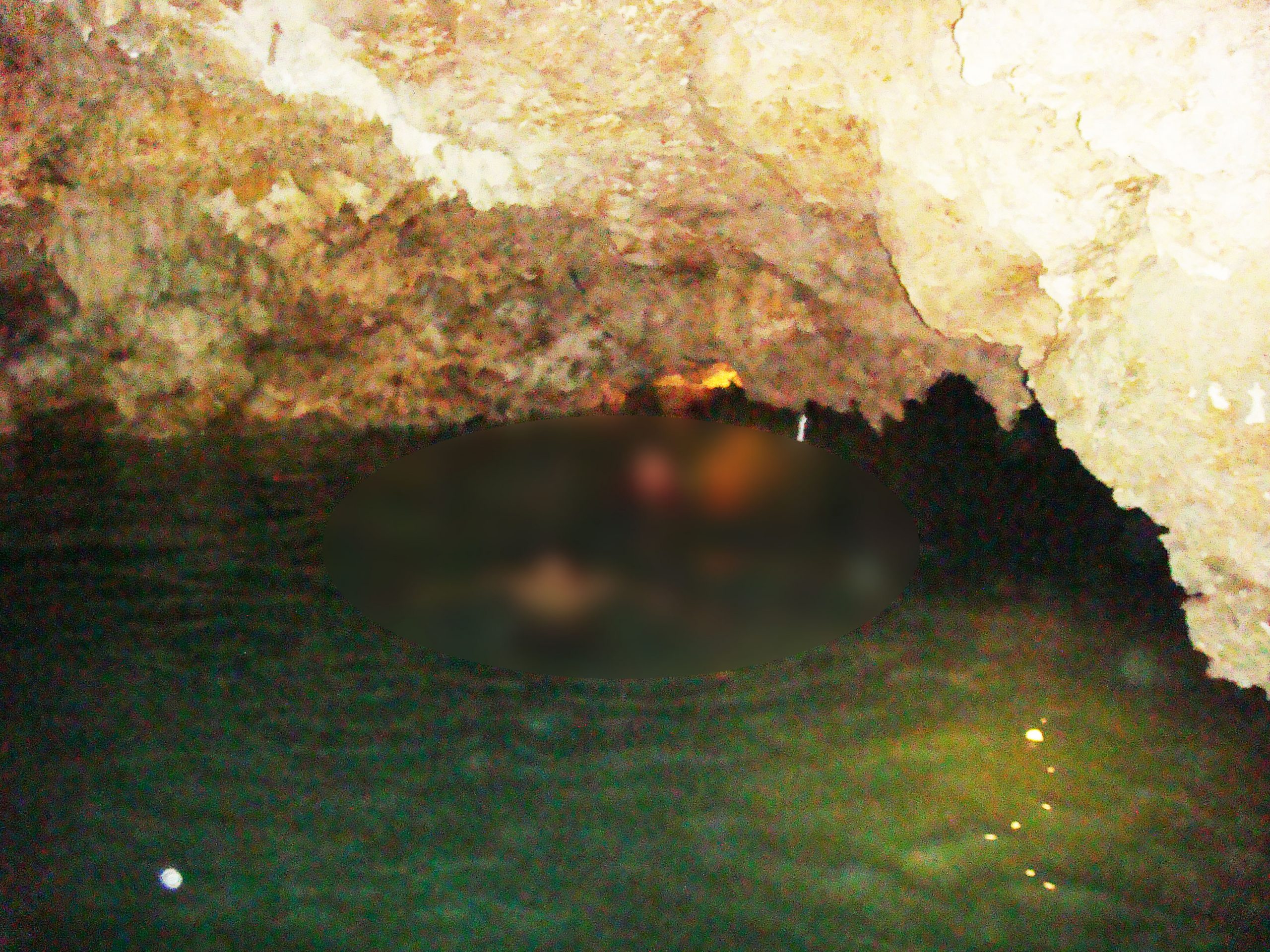 Clausuran fiesta clandestina en cenote, cerca de Chemax