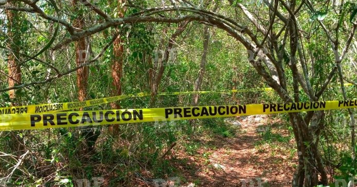 Chemax: Adolescente sale a cortar leña y se quita la vida en el monte