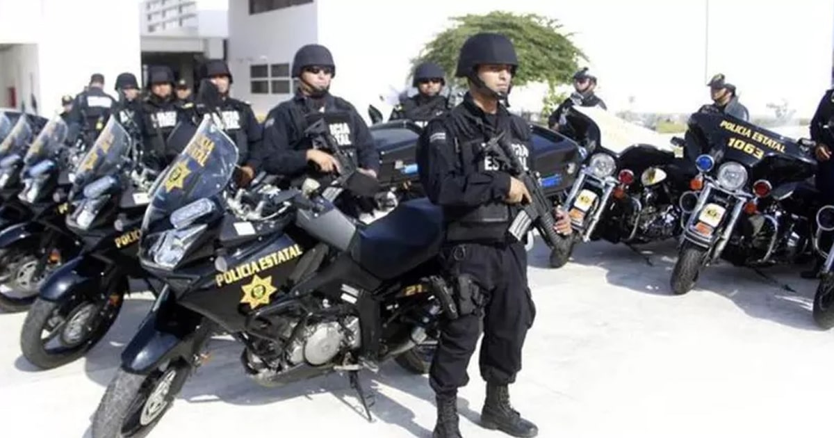 ¿Te gustaría ser policía de la SSP de Yucatán? Conoce los requisitos ...