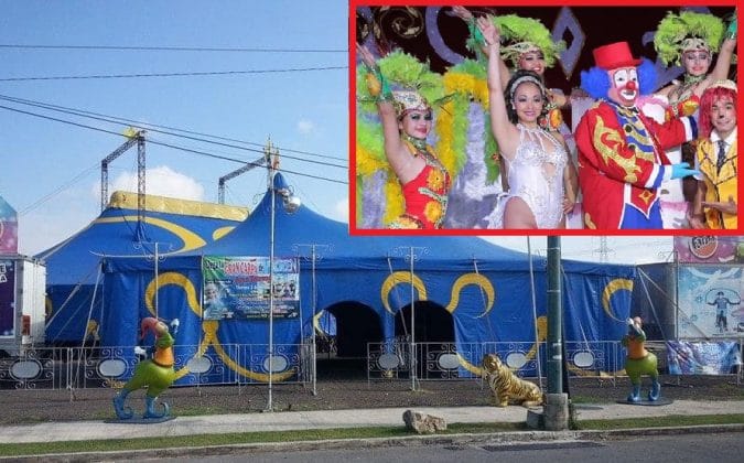 Forever Circus en Mérida