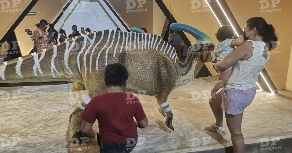 Por fin abre sus puertas el Museo del Meteorito de Progreso; una ...