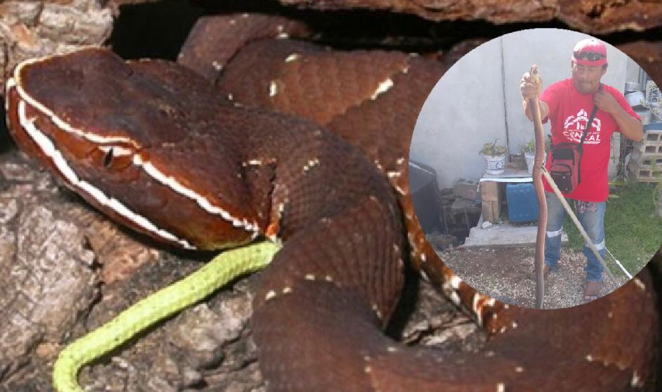 Enigmas: Enigmas: Septiembre, mes de las serpientes