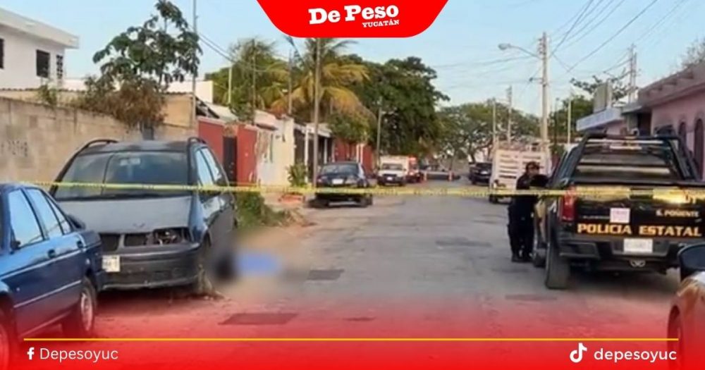 Fallece hombre por ataque de abejas al tratar de desyerbar terreno en ...